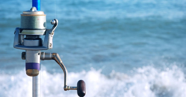 How Do I Choose a Saltwater Rod and Reel? – Eat My Tackle