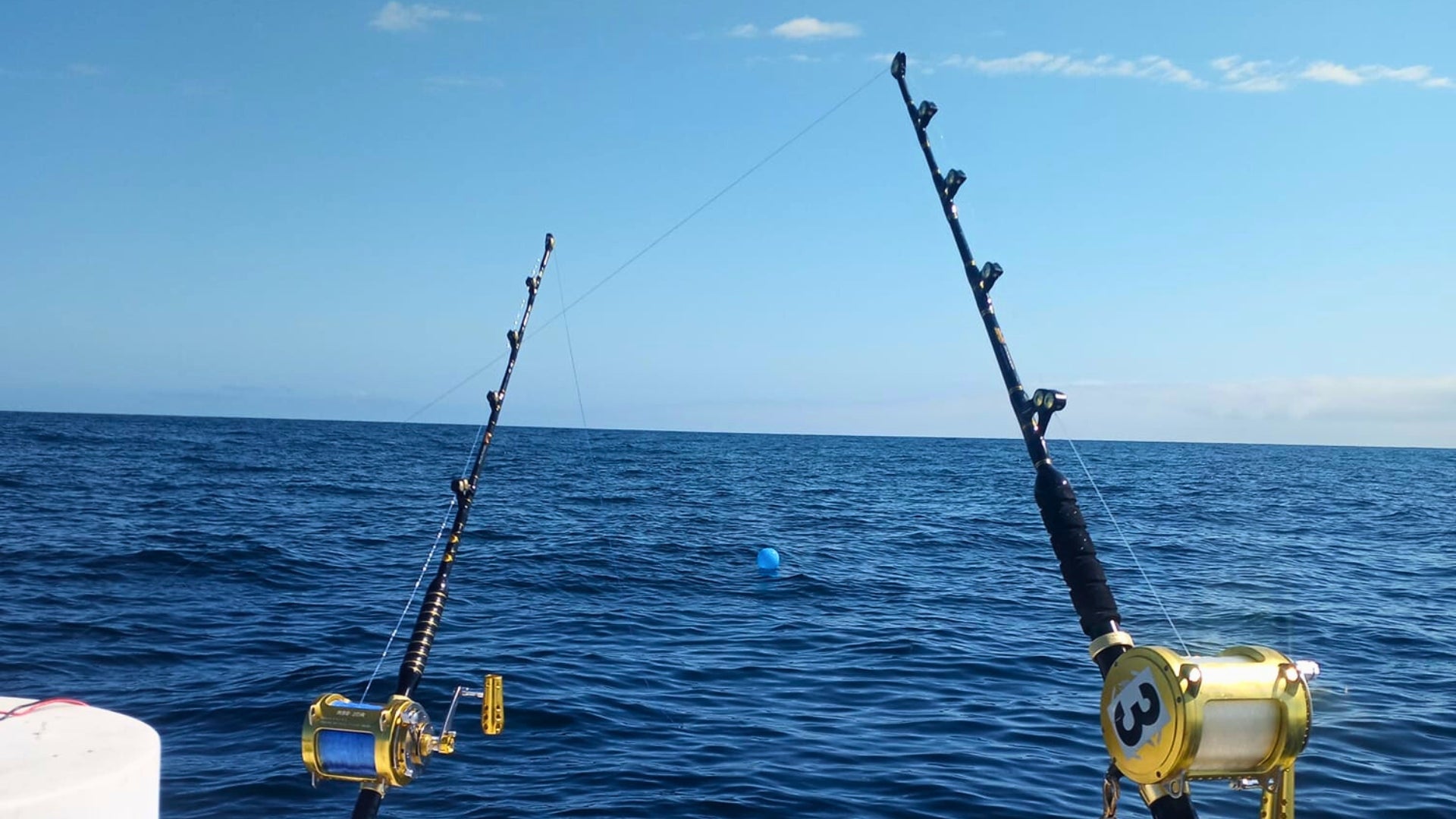 Deep Sea Fishing Rods – Get Your Gear Now! – Eat My Tackle