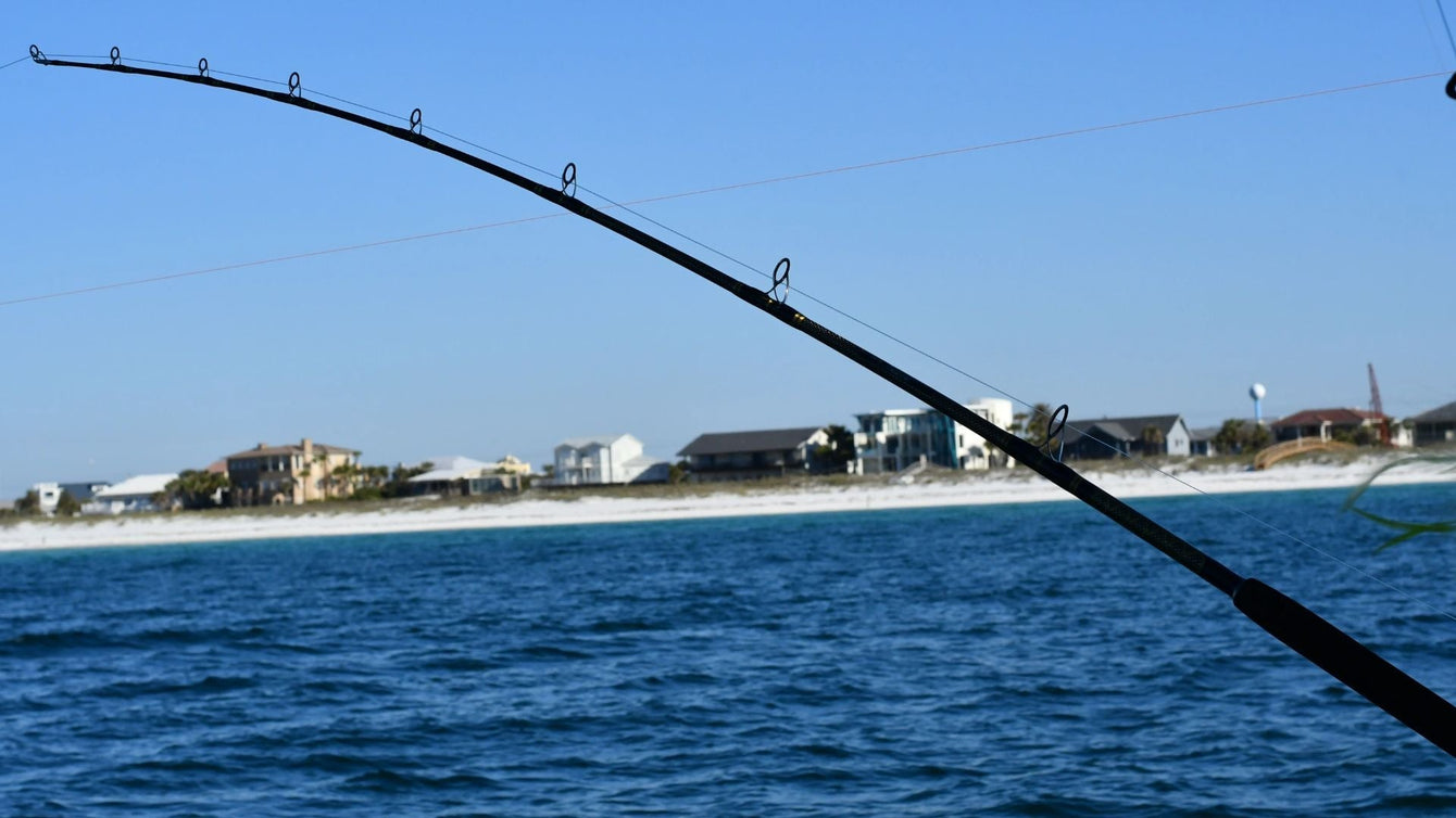 Best Saltwater Fishing Rod Guide - Eat My Tackle