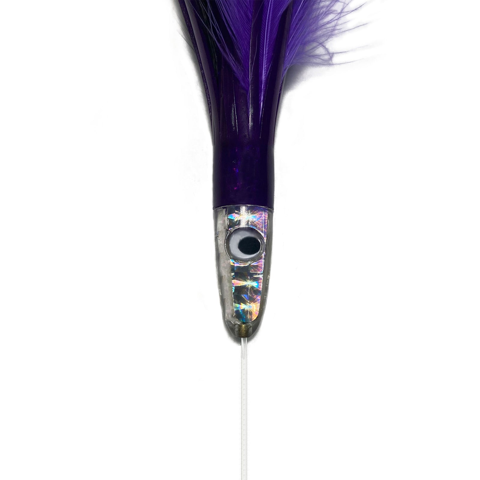 Roll over image to zoom in