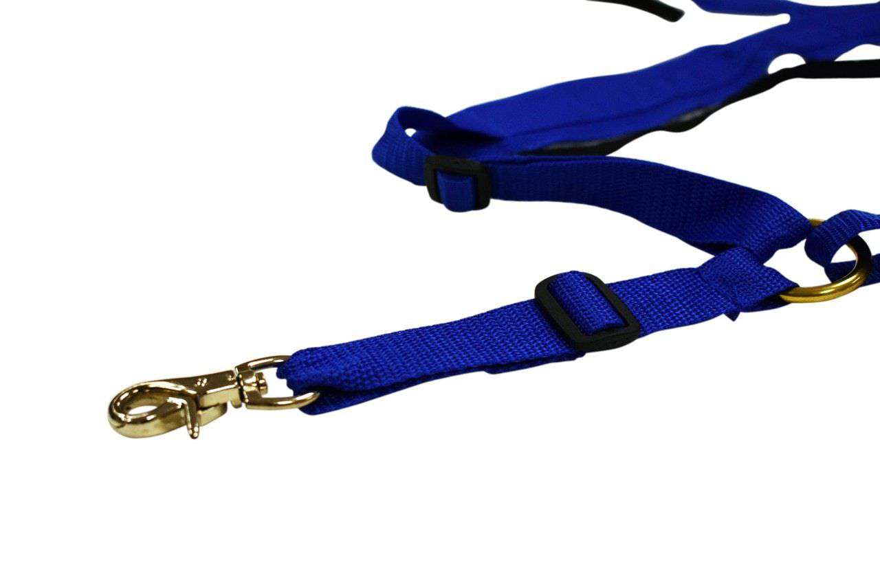 Roll over image to zoom in